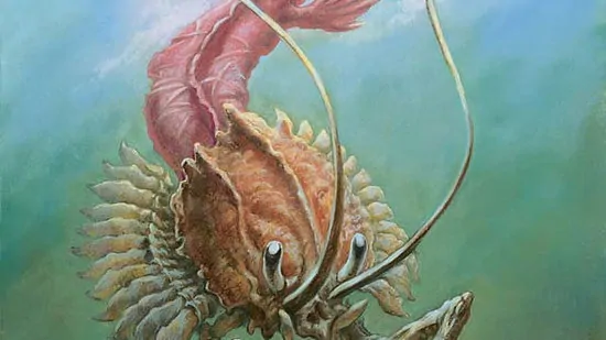 The Fish Tank: Theros: Beyond Death Edition (Jan. 21-28, 2020)